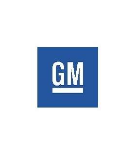 AUTOLACK GENERAL MOTORS